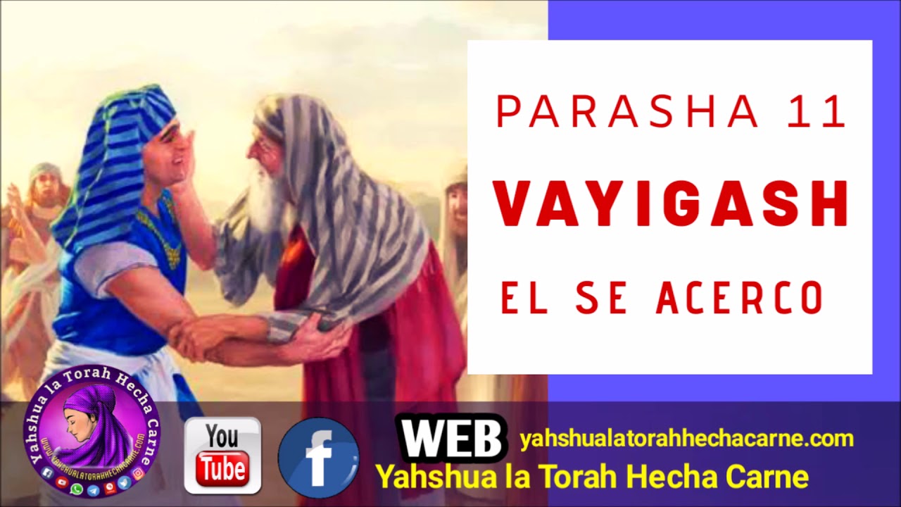 PARASHA # 11 *VAYIGASH* (EL SE ACERCO) - Yahshua la Torah Hecha Carne ...