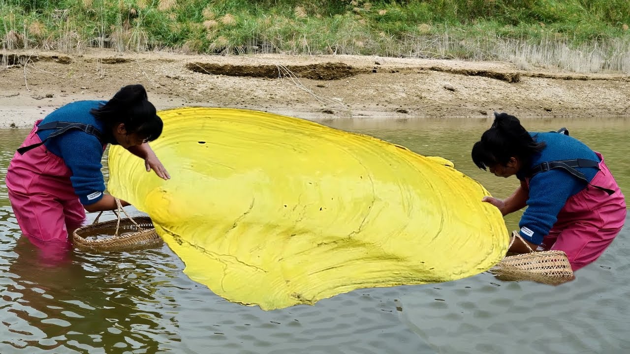 Discovered a fierce mutated yellow giant clam with a super large and ...