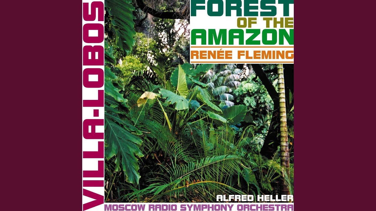 Floresta do Amazonas: Deep in the Forest - YouTube