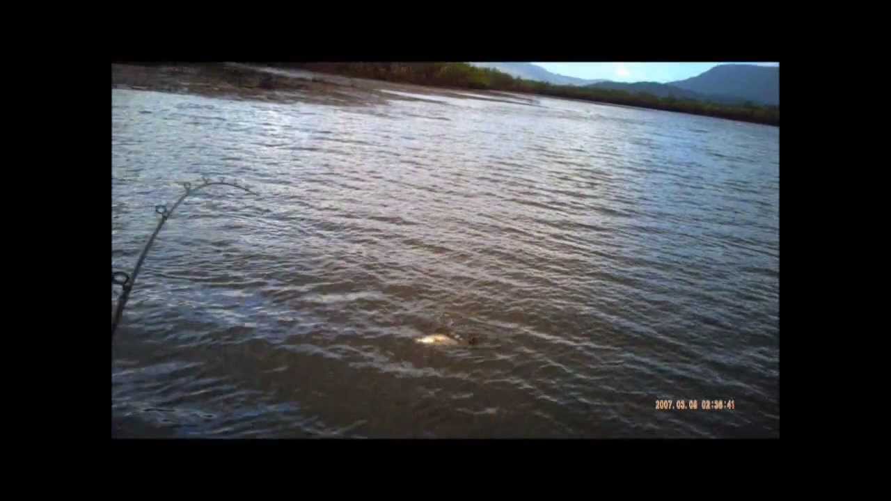 Barra Fishing Hinchinbrook and North Queensland - YouTube