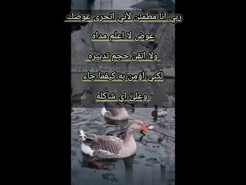 افضل حالات واتس اب دينيه ||رائعه 😍