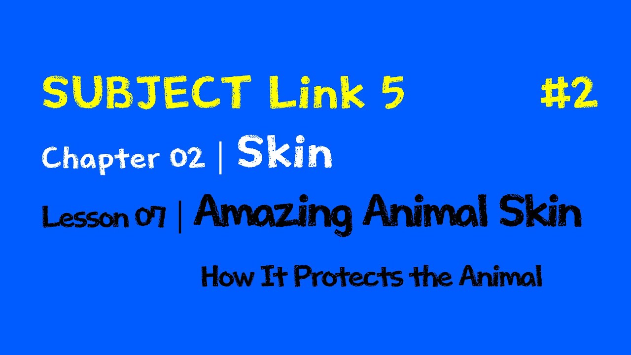 SUBJECT Link 5 Lesson 7 (2) - YouTube