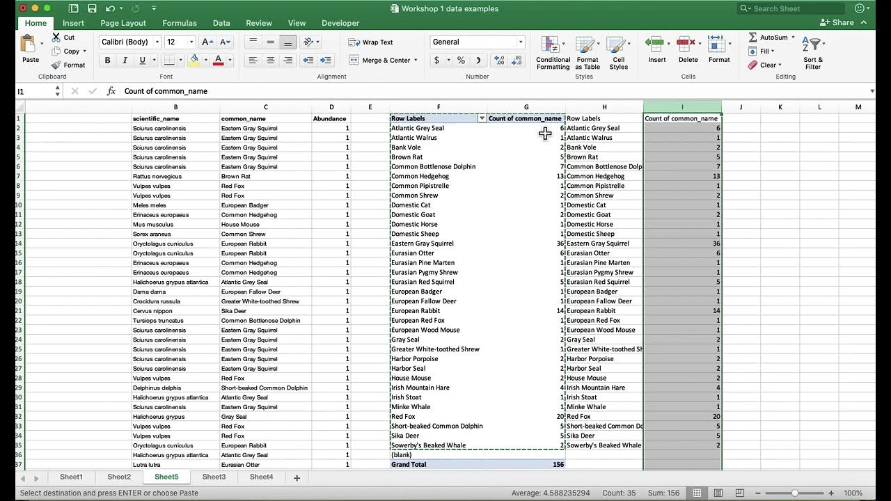 Summarizing data using a pivot table in MS Excel. - YouTube