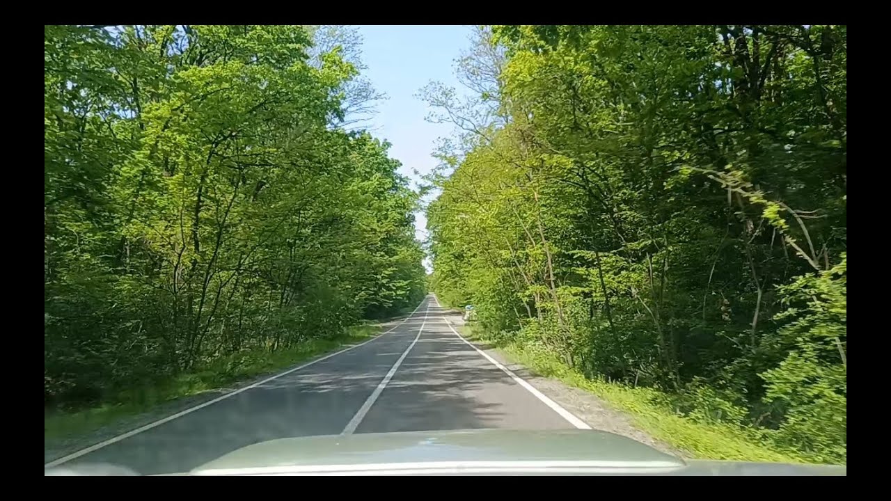 Beautiful Romania - Car ride in the spring forest serpentines - YouTube