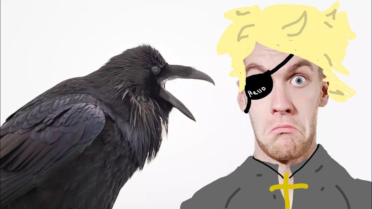 welcome to bird up. the worst show on television. - YouTube