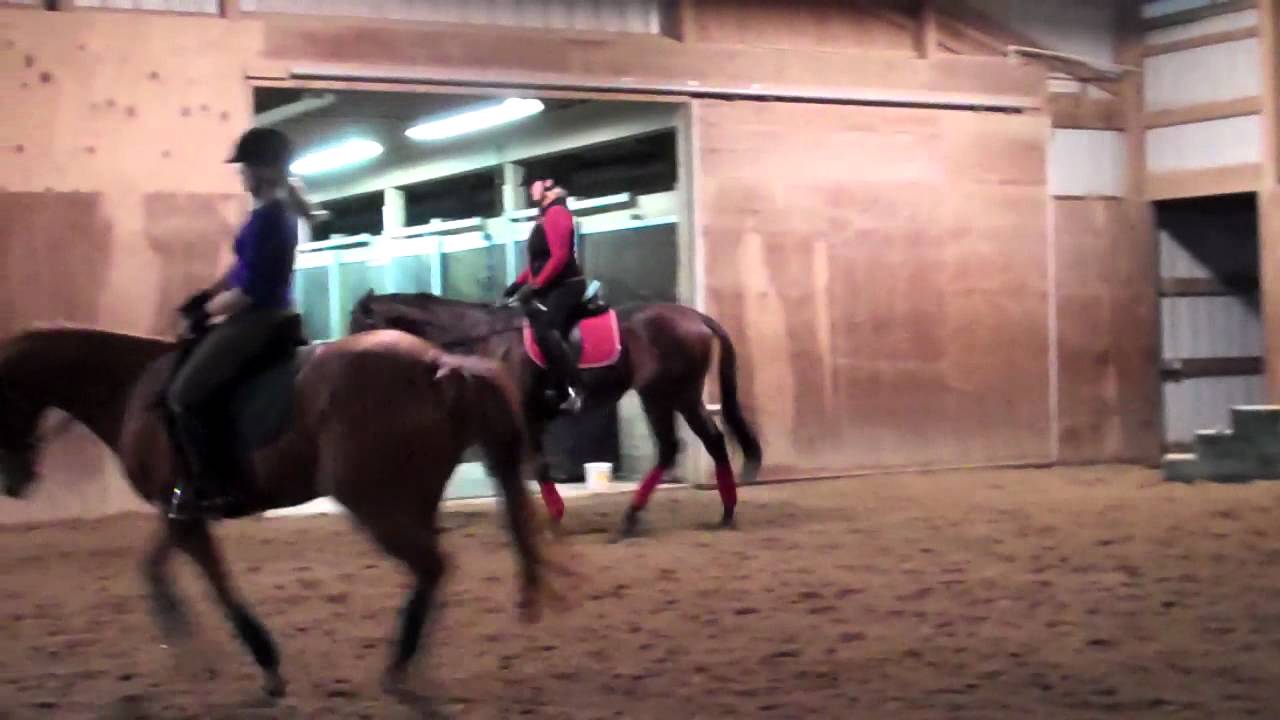 Sarah & Derby 11/26/11 - 2 - YouTube