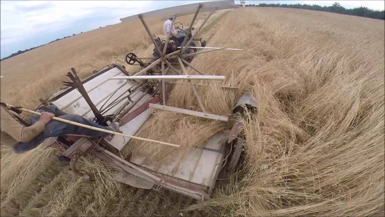 Réalisation des gerbes de blé pour la fête de la Meunerie 2017 - YouTube