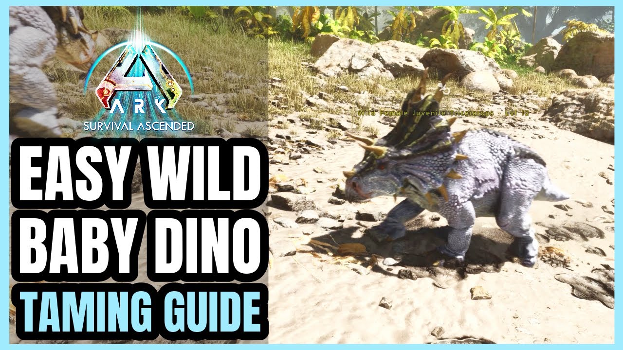 How to Tame WILD Baby Dinos in Ark: Survival Ascended - YouTube
