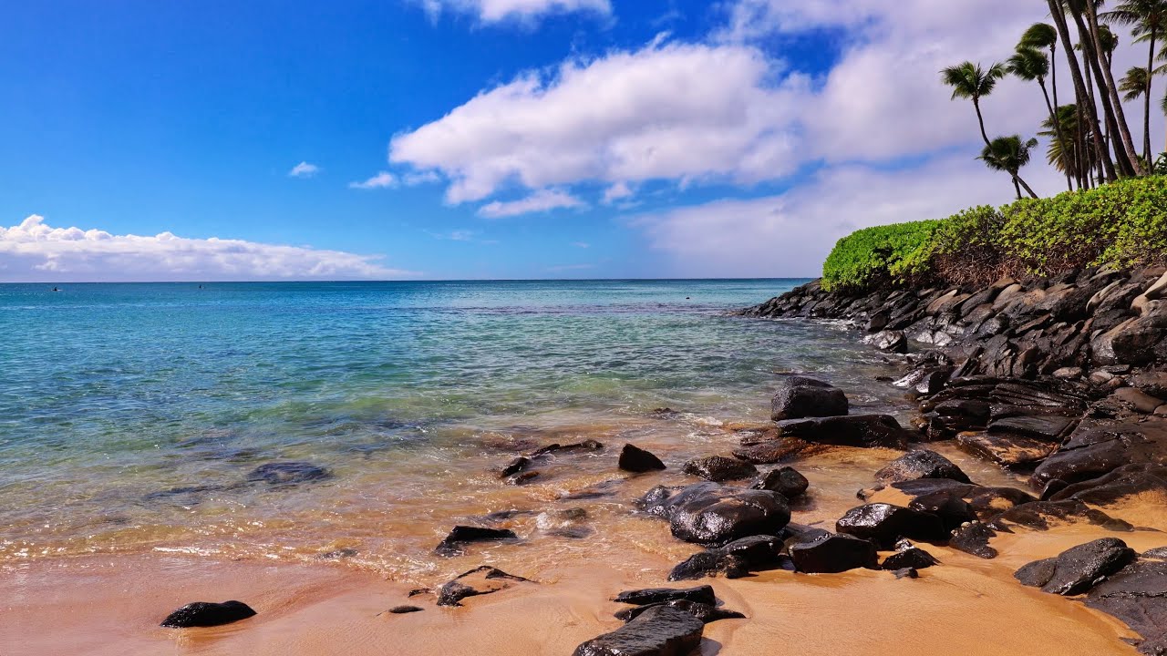 Beach Sounds For Relaxation | Hawaii Calm Waters 4K - YouTube