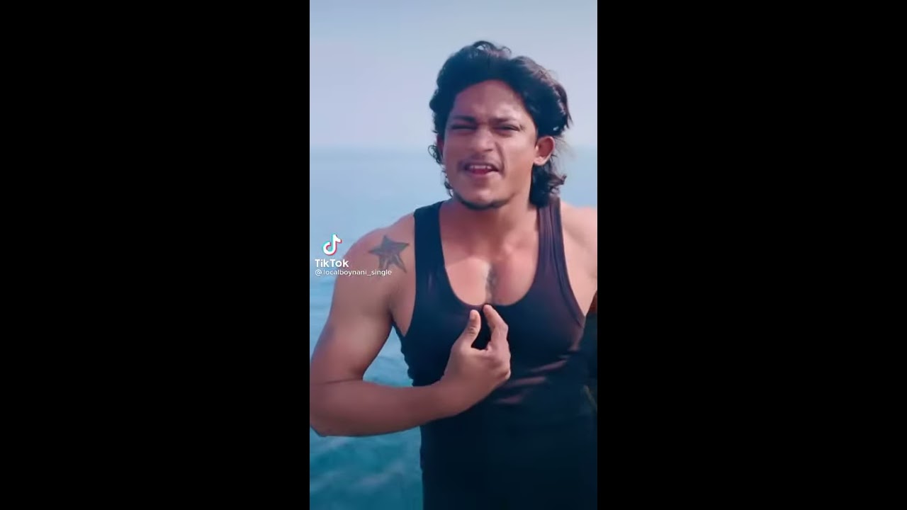 local boy Nani TIK TOK VIDEO'S TELUGU POUPLER comedy hindi funny ...