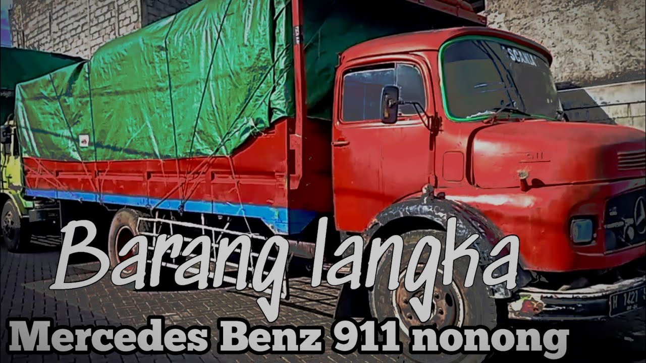 Daily vlog| ketemu mercy langka. - YouTube