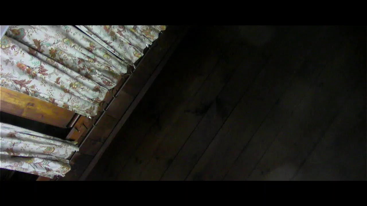 Tiger leclair Live Stream - YouTube