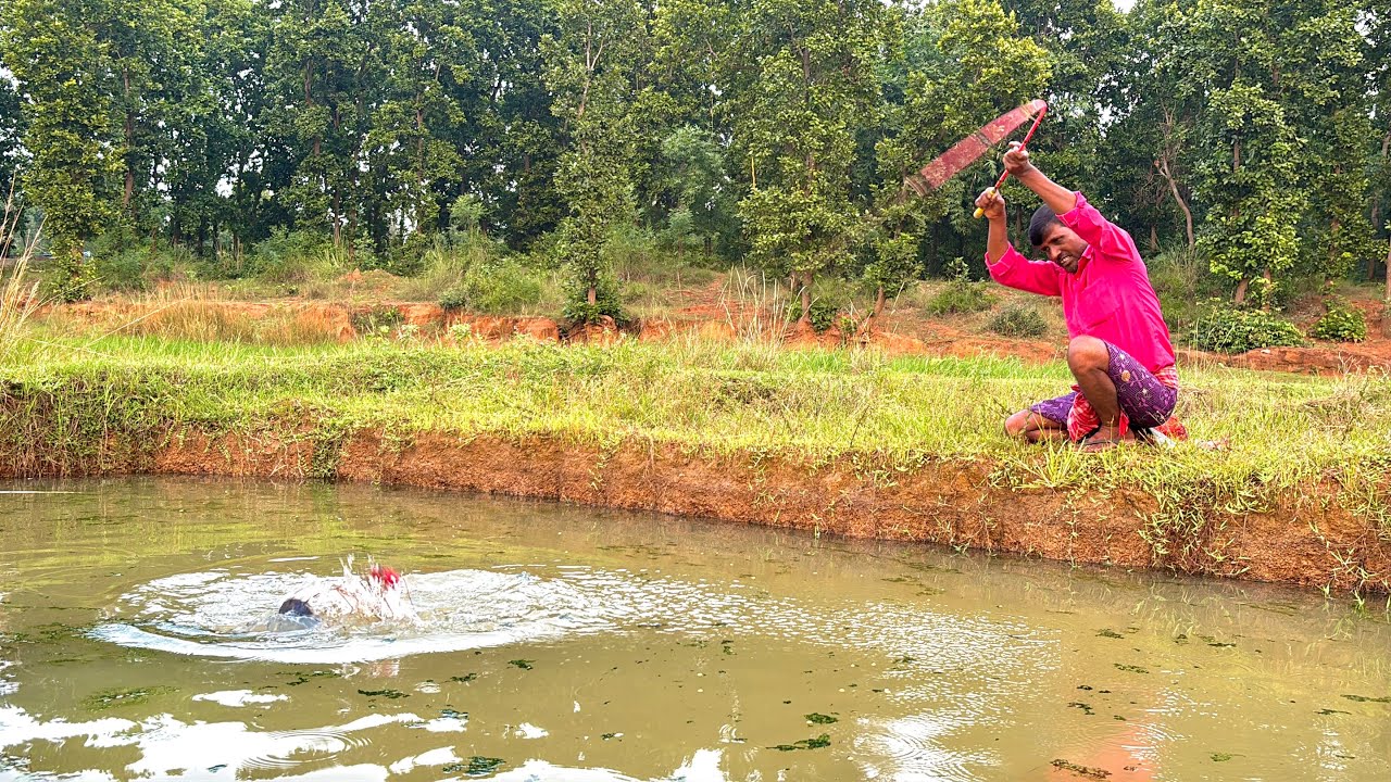 Fishing Video🎣🐠| A skilled fisherman caught fish from the forest pond ...