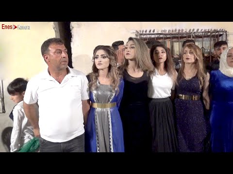 ŞEVKO 2023 HALAY - YILIN EN İYİ OYUN HAVASI HAREKETLİ