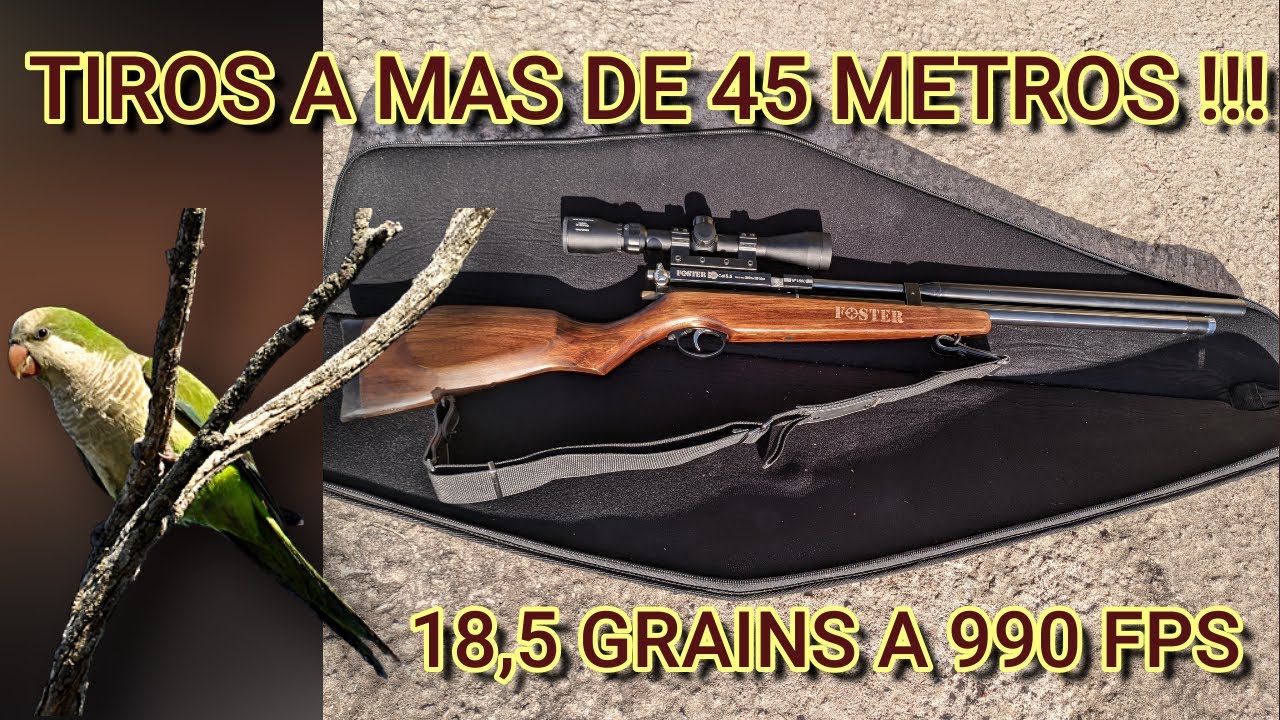 CAZA DE COTORRA - FOSTER F180 5.5 - YouTube