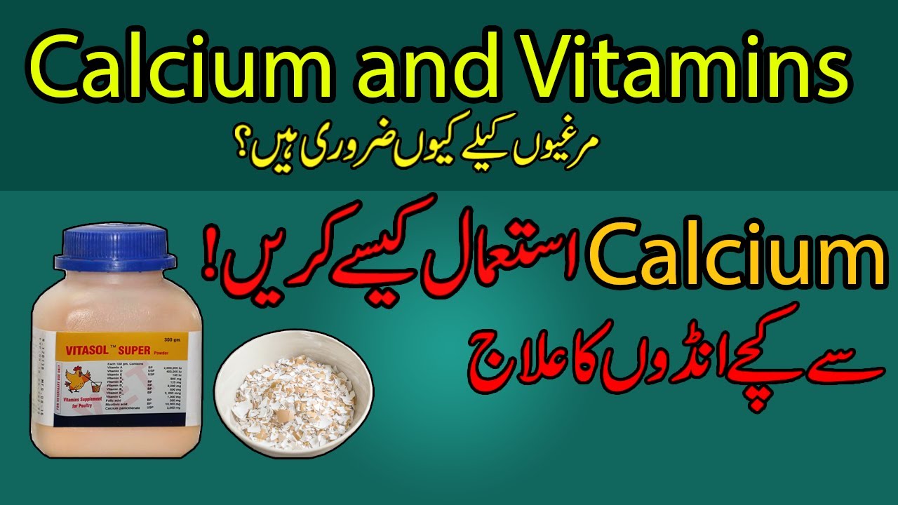 Murgiyan kachy andy de rahi hain? ilaj kese karain, best Calcium for ...
