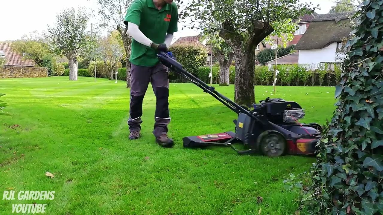 Toro Timemaster with Striping Kit, LAWN SCARIFYING RESULTS - YouTube