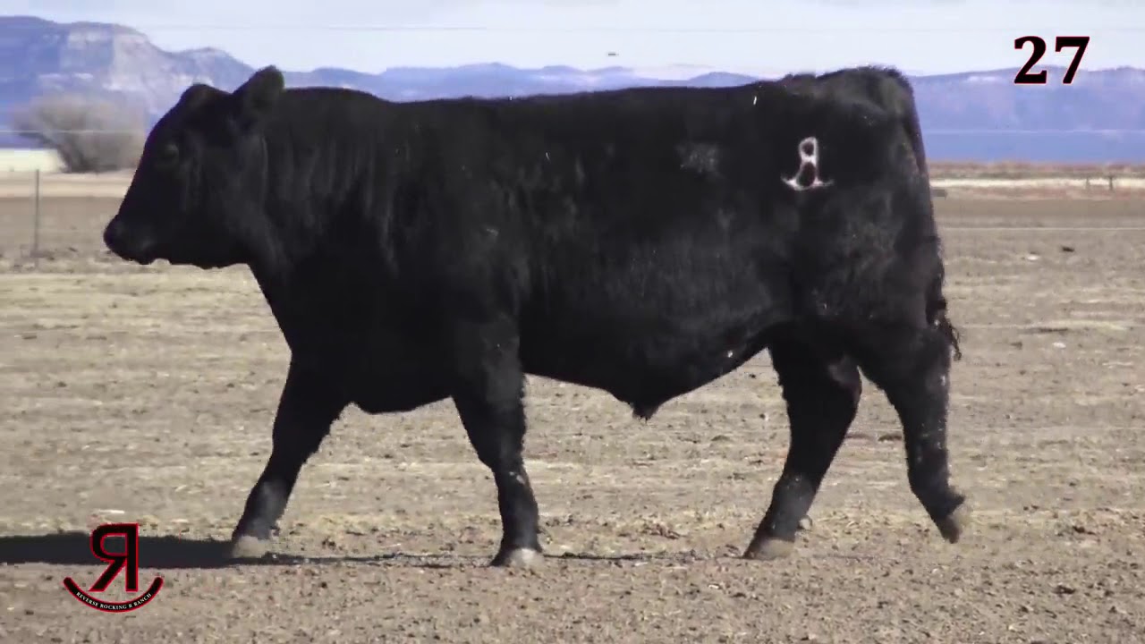 Reverse Rocking R Ranch Lot 27 - YouTube