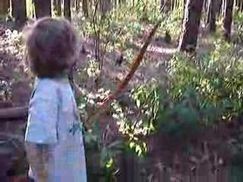 Ethan M Stump shooting - YouTube