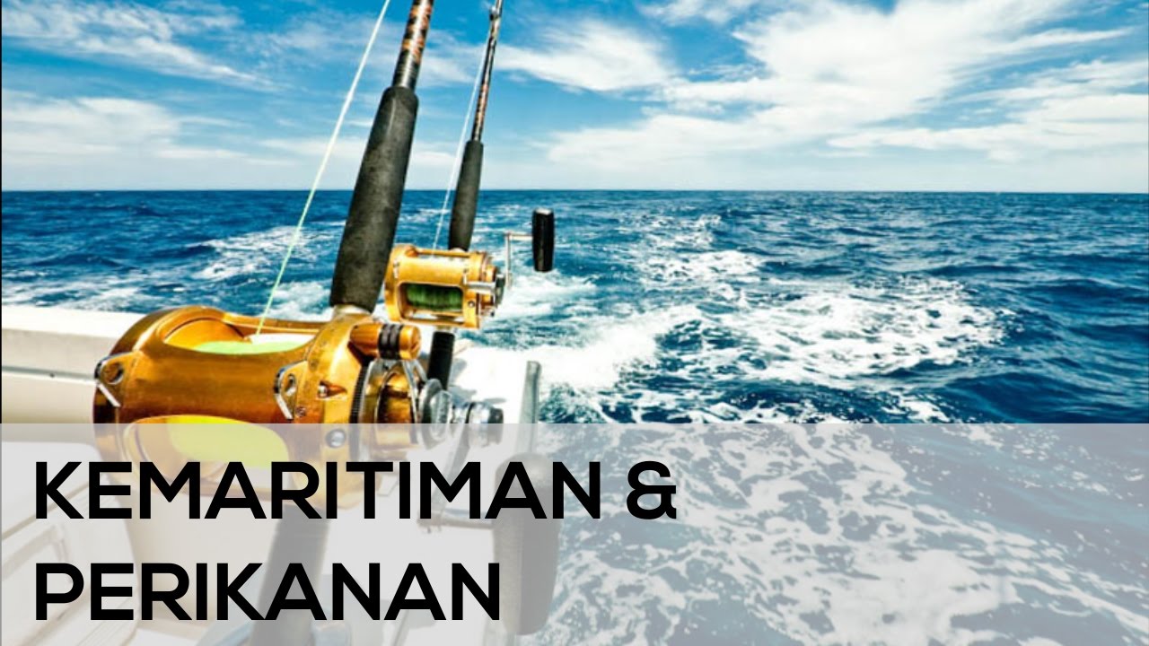 Jurusan Kuliah : Bidang Kemaritiman dan Perikanan - YouTube