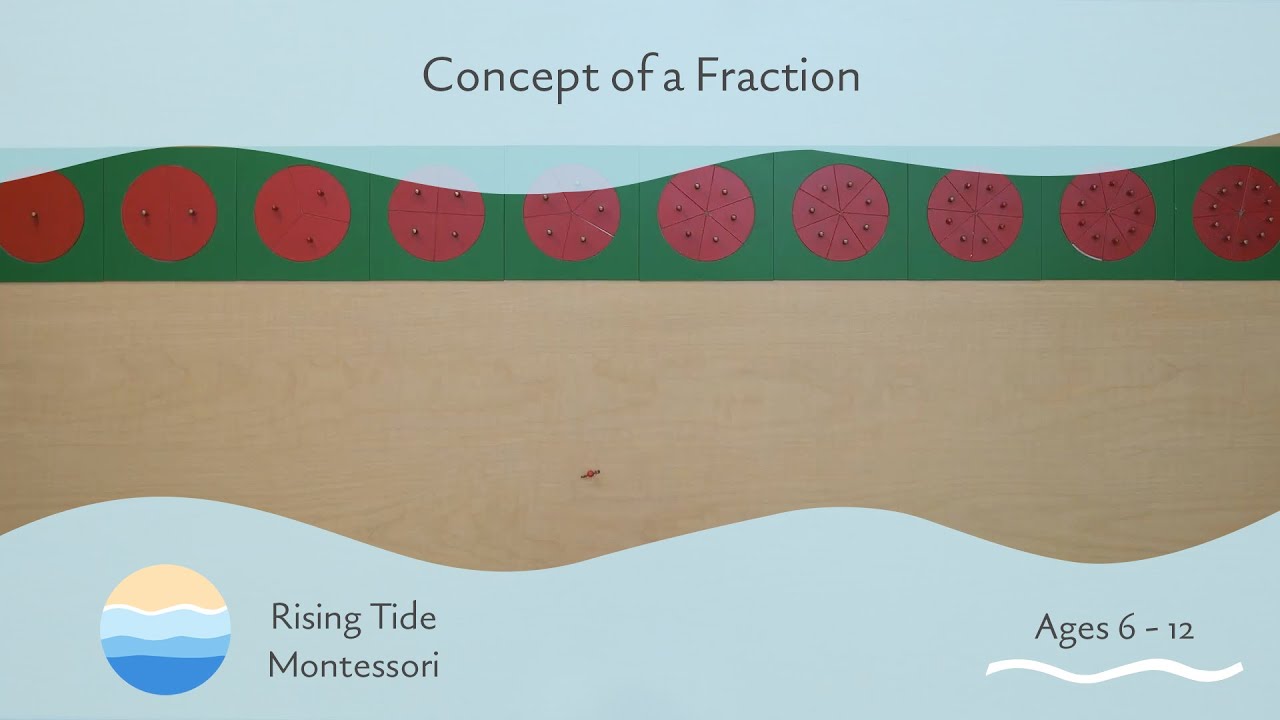 Concept of a Fraction - YouTube