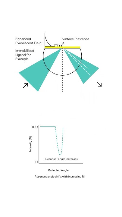 Surface Plasmon Resonance (SPR) Technology, Explained - YouTube