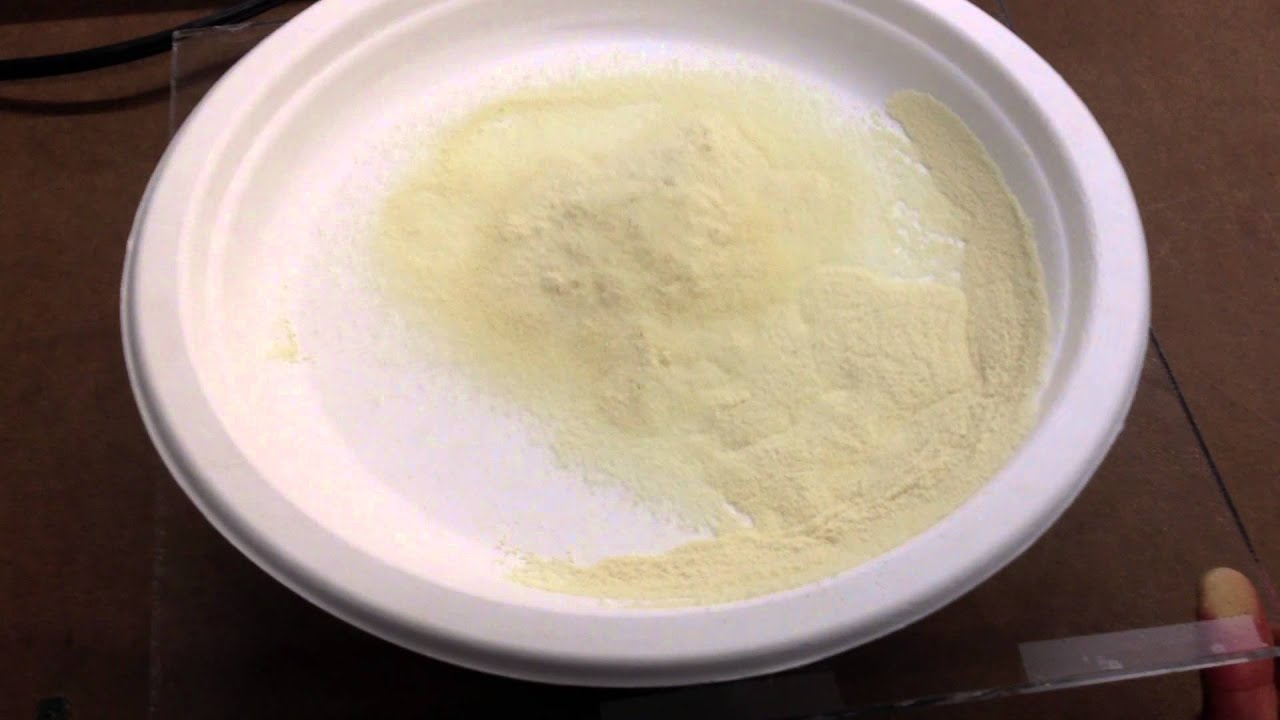 protein powder test - YouTube