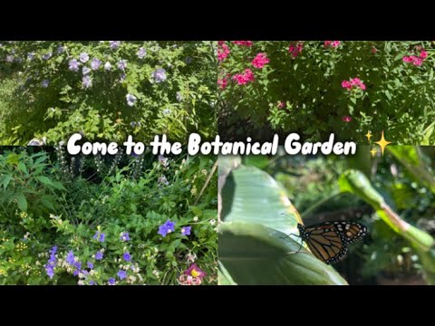 Let’s go see a garden ! - YouTube