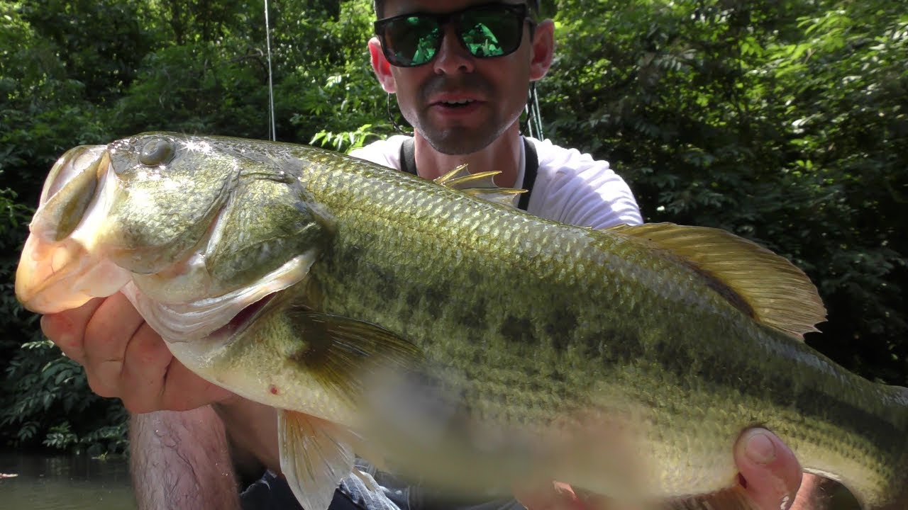 Biggest Creek Bass I've Ever Caught - YouTube