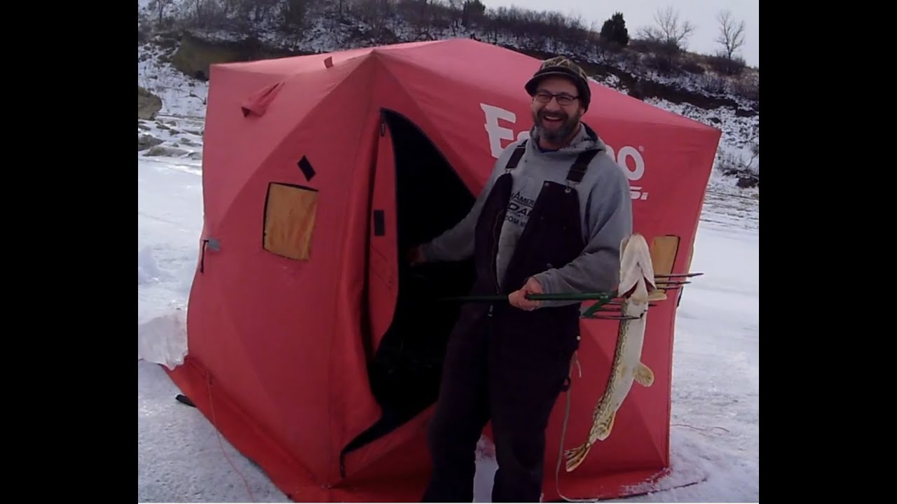 Pike Spearing Jan 2025 Shaky Shaft Addicts - YouTube