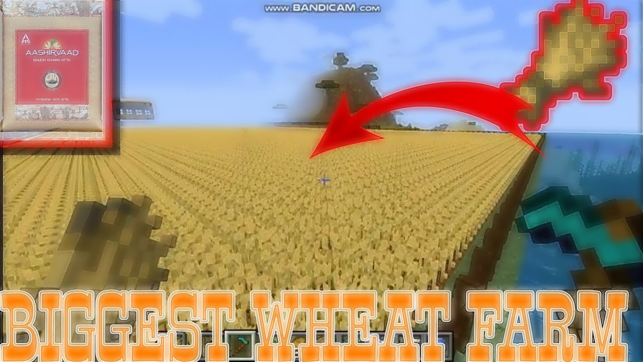 BIGGEST WHEAT FARM/FIELD IN MINECRAFT HISTORY!WORLD RECORD ...
