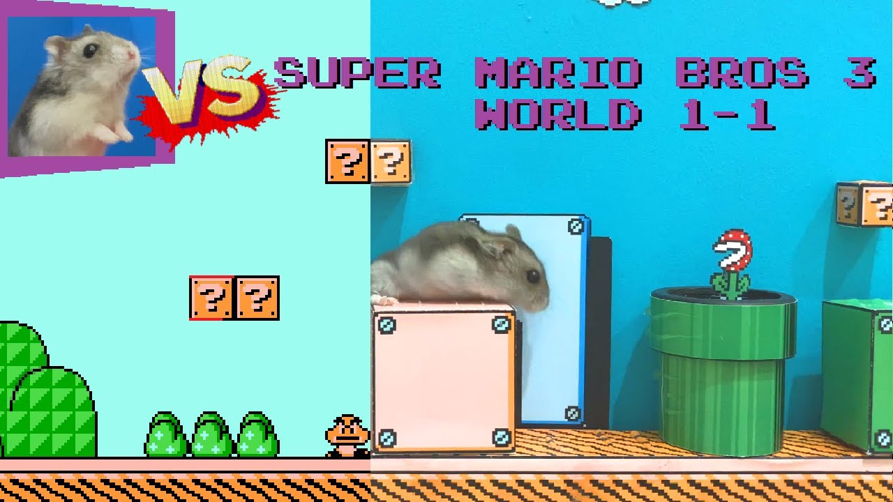 COMPLETE World 1-1 Level: Hamster VS Super Mario Bros 3 Obstacle Course ...
