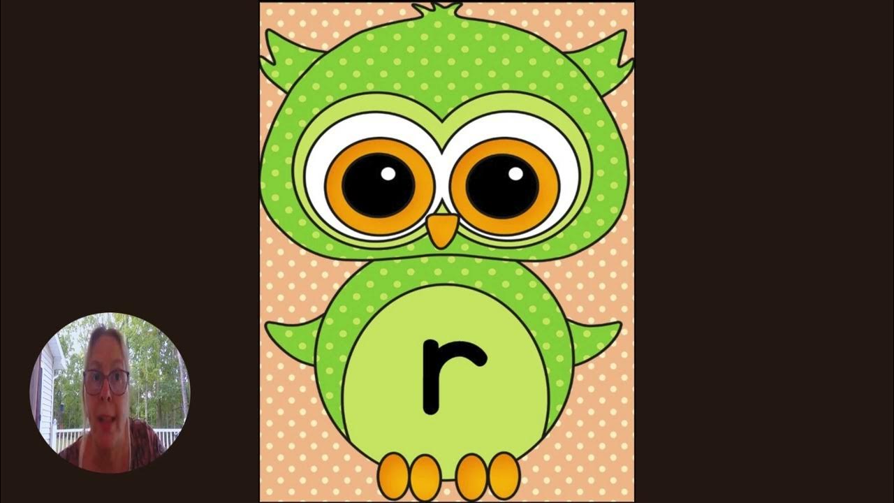 Learn Alphabet Sounds with Green Polka Dot Owl Flashcards | Fun Phonics ...