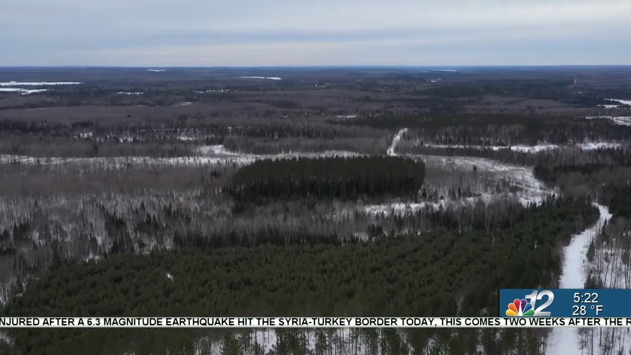 Pelican River Forest in limbo - YouTube
