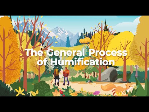 What Is Humification In Ecology