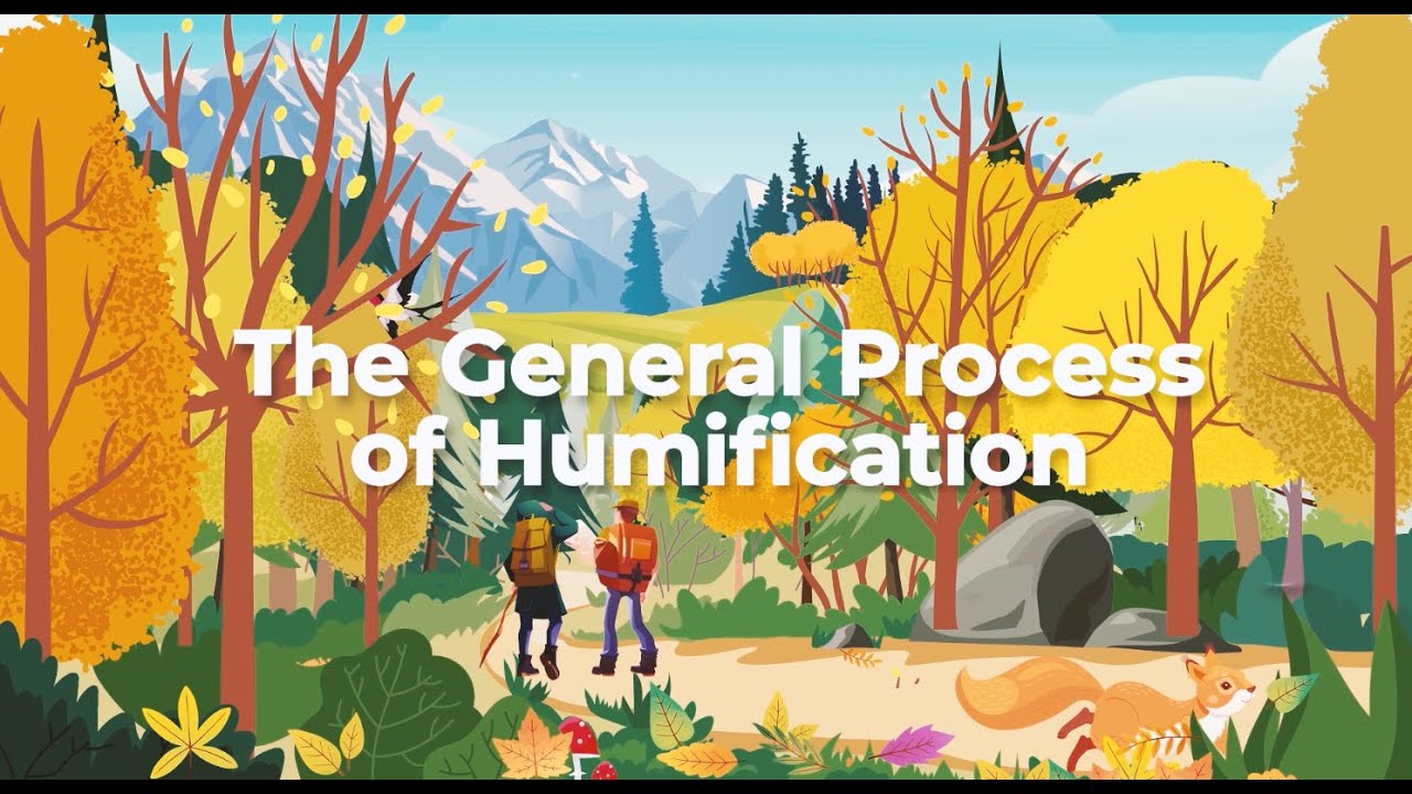 The General Process of Humification - YouTube