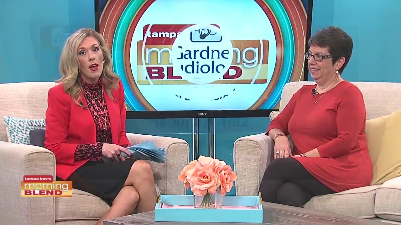 Fall Prevention: Audiologist Doctor Jodi Conter interviewed on The ABC ...