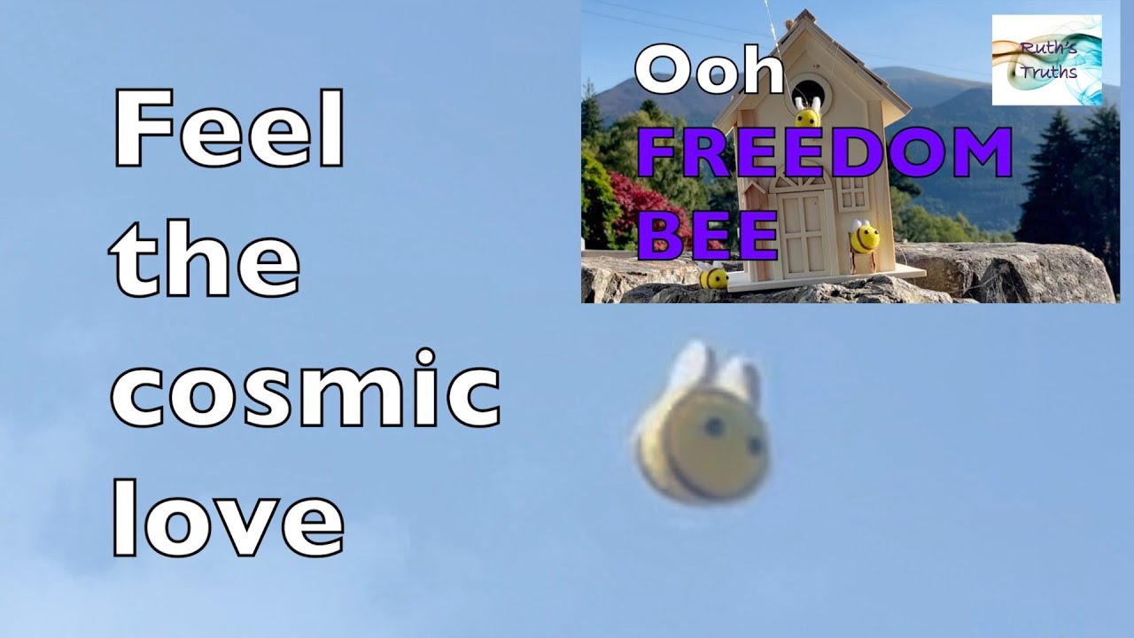 Freedom Bee - YouTube