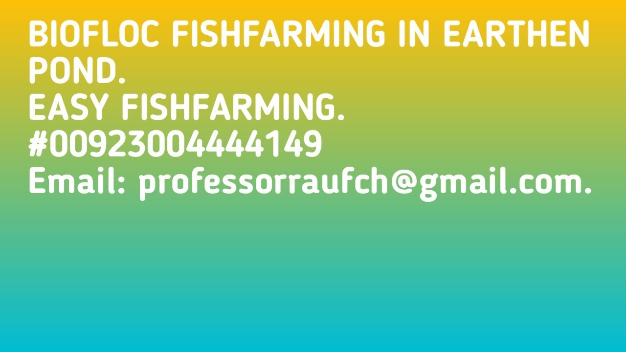 Earthen pond biofloc fishfarming - YouTube