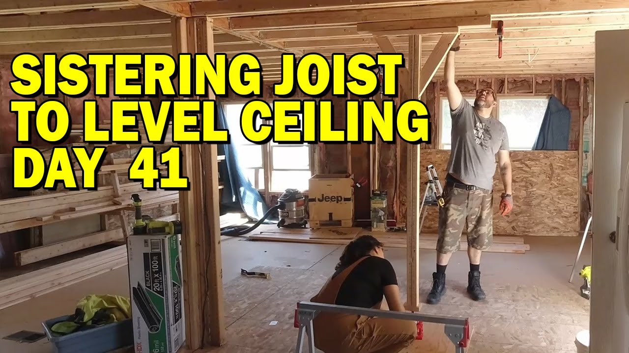 Sistering joists to level ceiling | Day 41 mobile home renovation - YouTube