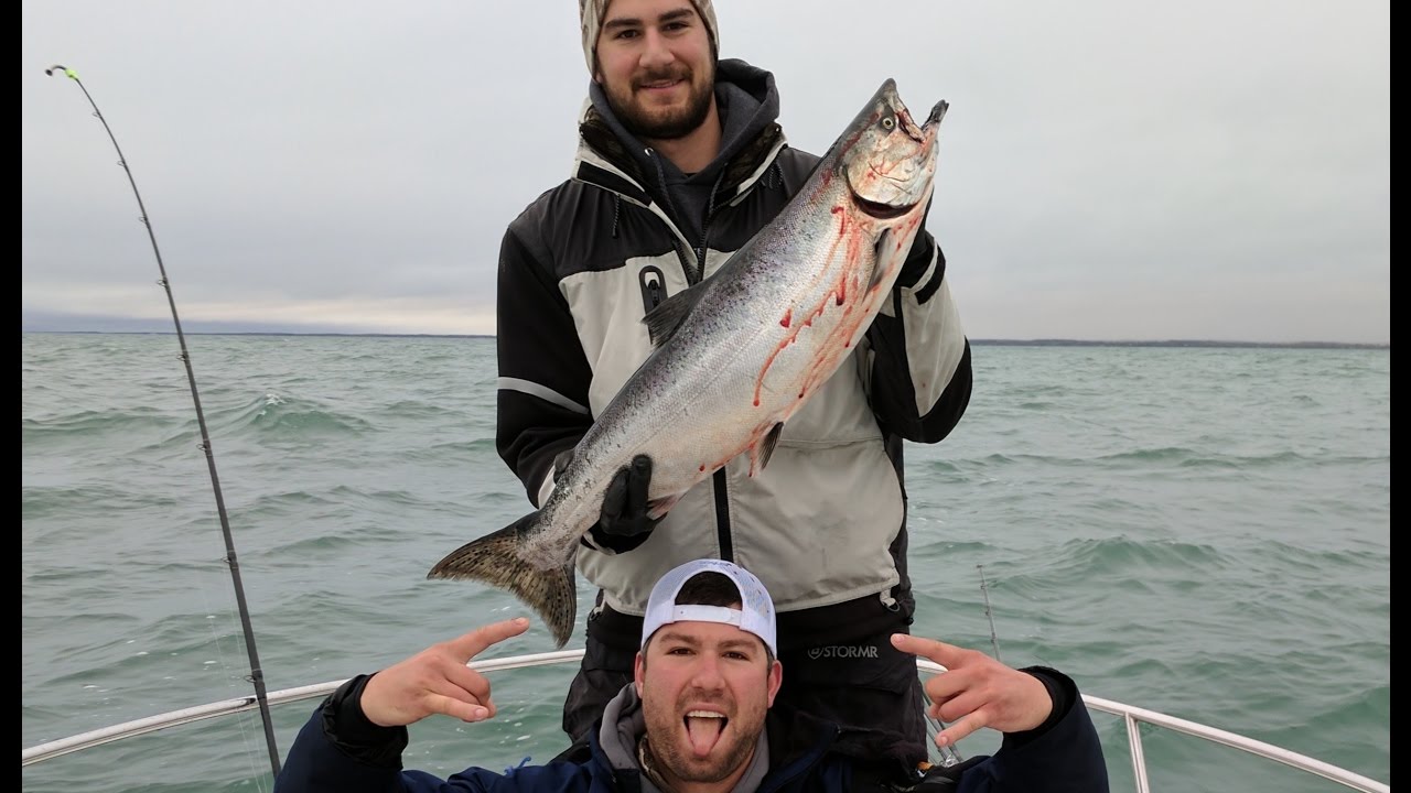 NY King Salmon Fishing - Niagara Bar, Lake Ontario - YouTube