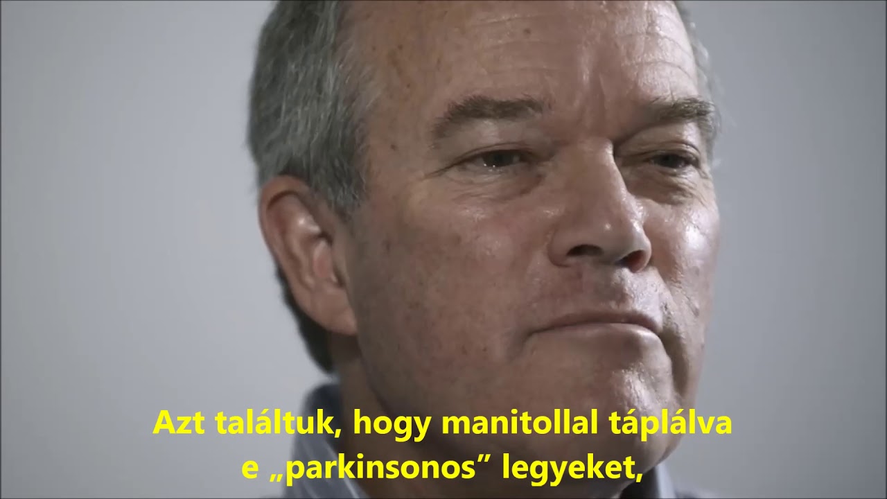 DANIEL SEGAL - YouTube