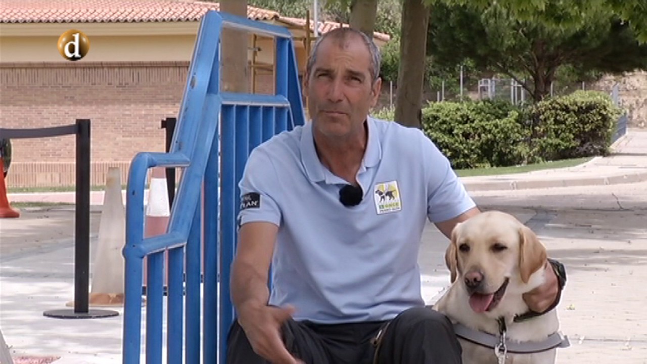 Otras Miradas | Fundación ONCE del perro guía - YouTube