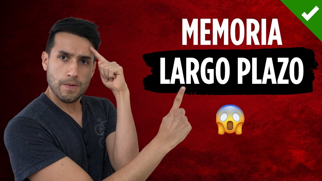 CÓMO MEJORAR LA MEMORIA A LARGO PLAZO [Curso de técnicas de ...