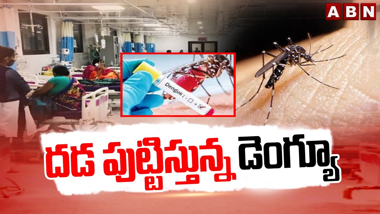 Red Alert : దడ పుట్టిస్తున్న డెంగ్యూ | Dengue Cases Rise in Telangana ...
