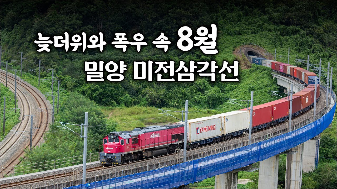 8월 미전선 기차 풍경 Ktx Ktx산천 Itx새마을 무궁화호 화물열차 Youtube