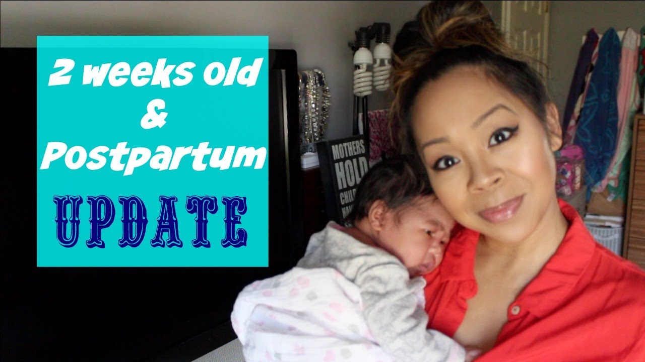 2 WEEKS OLD UPDATE & 2 WEEKS POSTPARTUM | Baby #4 | MommyTipsByCole ...