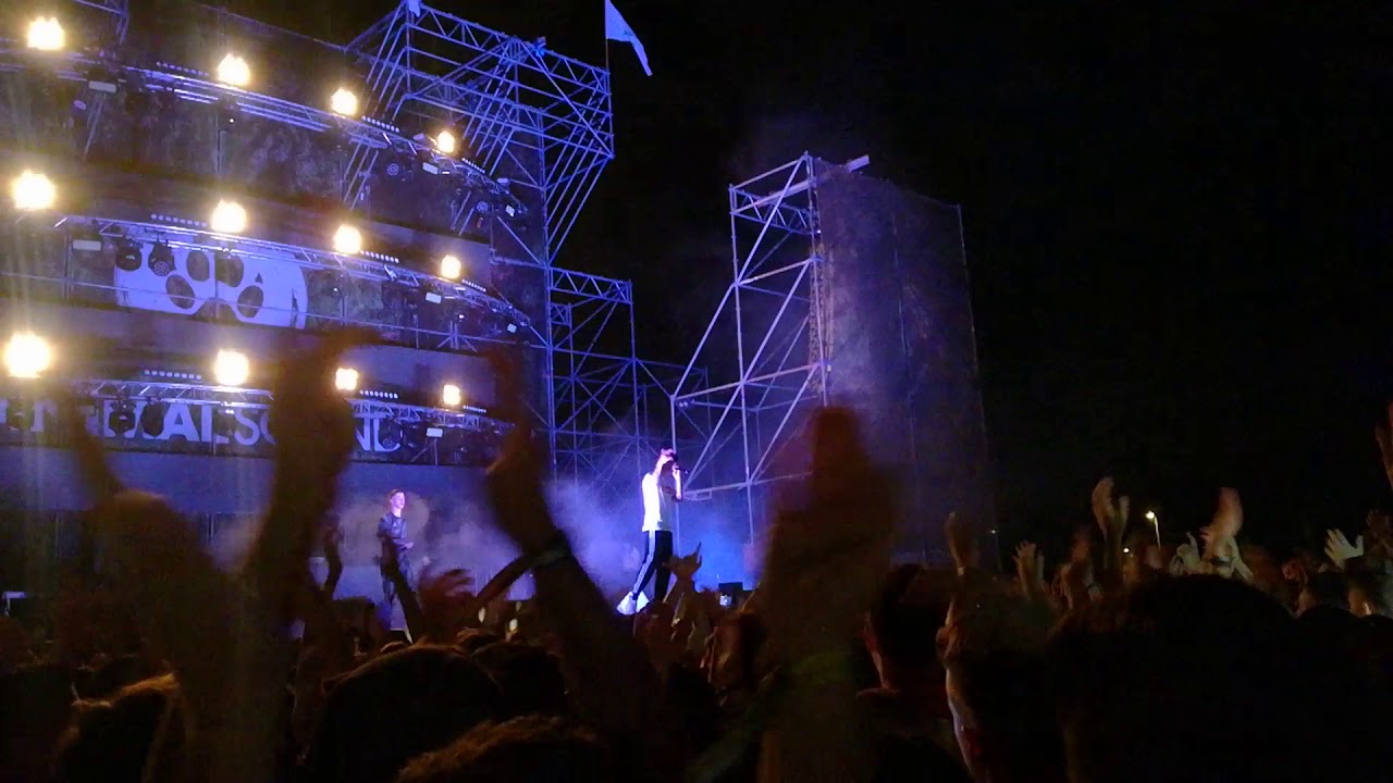 Natos y Waor - Valhalla (Acapella) Animal Sound - YouTube
