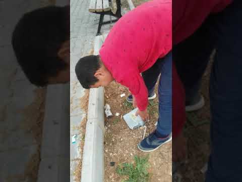 Oha CD çalar parçaladık