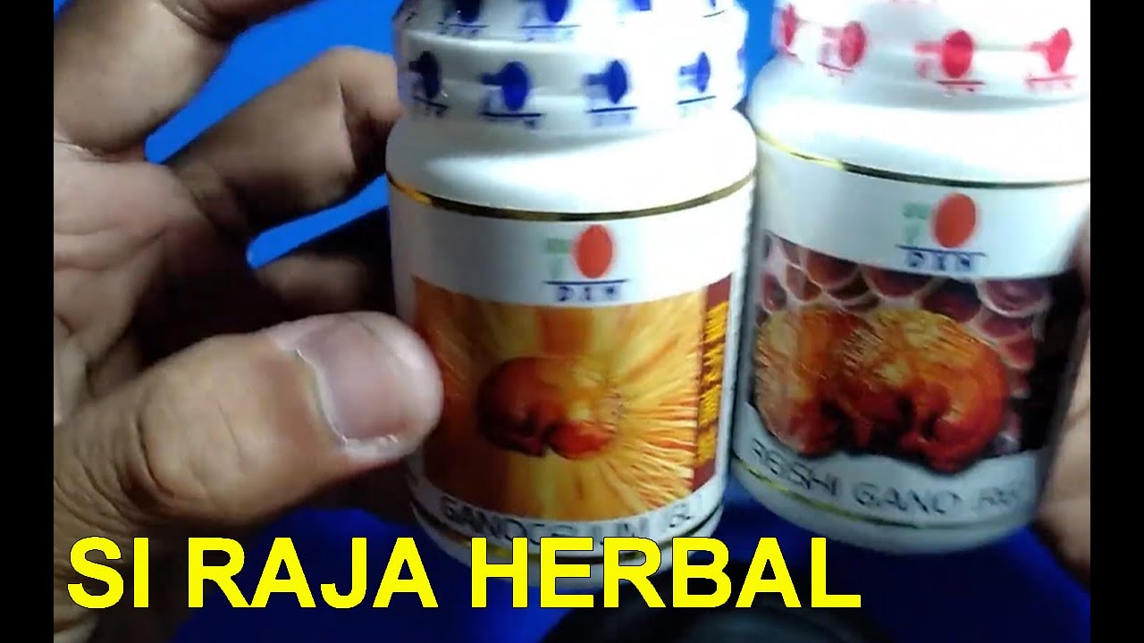 OBAT DAXEN GANODERMA RG GL - JAMUR LINGZHIE | RAJANYA OBAT HERBAL - YouTube